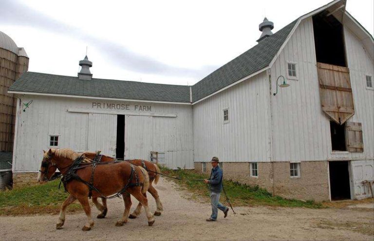 Experience Farm Life At Primrose Farm in St Charles IL - ChicagoFun.com