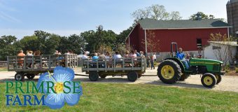 ChicagoFun.com | The premier online publication dedicated to having fun ...